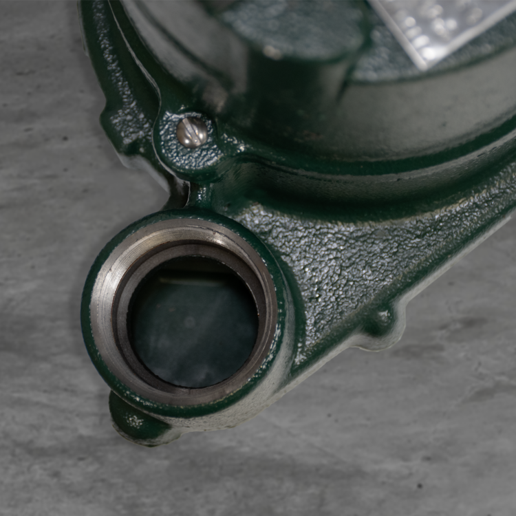 Model 151 Effluent Pump with Switch